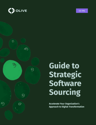 Guide to Strategic Software Sourcing | Olive Technologies